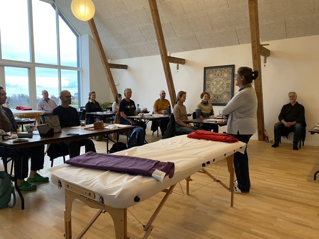 Uddannelse – DANSK TOYOHARI FORENING